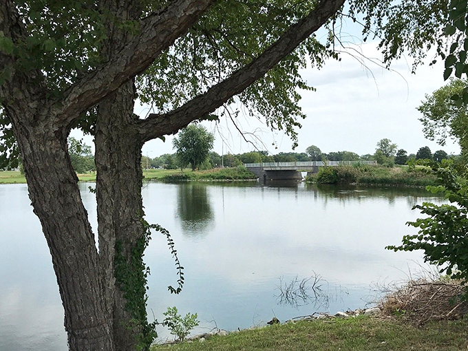 Urban serenity captured in perfect stillness. A reminder that nature's beauty often hides in plain sight.