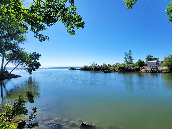 Tranquility defined at Lake Walcott, where water meets sky in a perfect blue marriage that soothes the soul.