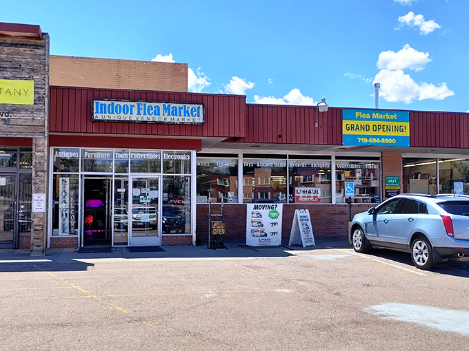 The Rustic Roost's interior is a testament to the beauty of organized chaos. Every shelf tells a different story!