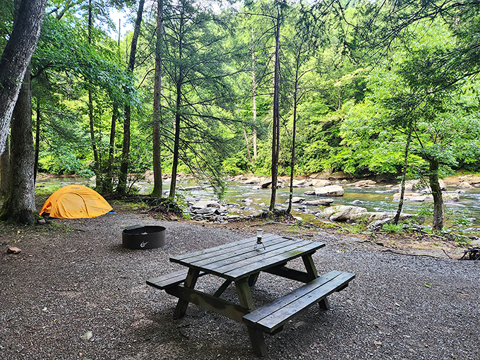 Audra's riverside camping—where falling asleep to nature's white noise machine makes counting sheep completely unnecessary.