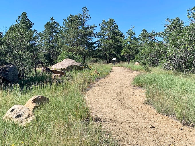 Ancient stones quietly tell their story at Cheyenne Mountain State Park. This crumbling dam wall has witnessed more history than any textbook.