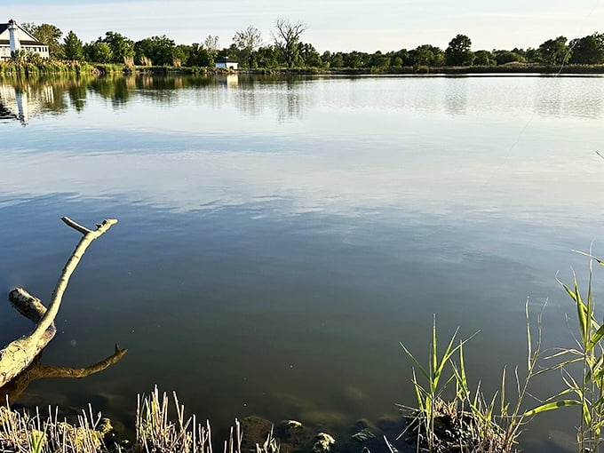 Where sky meets water in perfect stillness. The kind of view that makes you forget your phone exists.