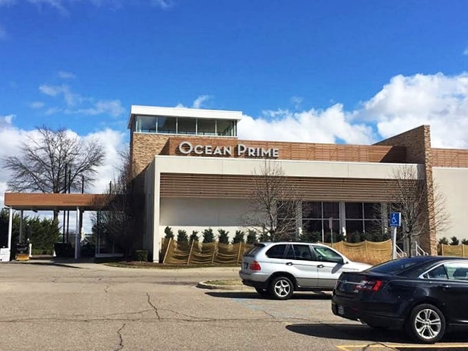 That clean architectural design isn't just for looks – it's foreshadowing the beautifully presented seafood waiting within.