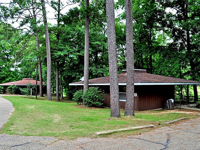 Camping at Roland Cooper means waking up to this view, better than any hotel room's digital art display.
