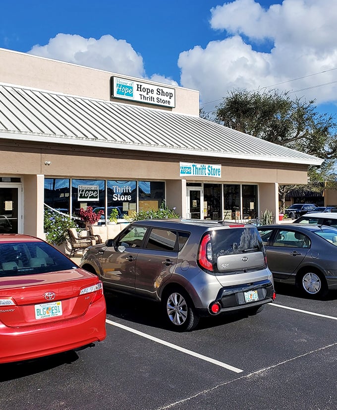 Palm trees and parked cars frame this Florida thrift destination where hope and bargains go hand-in-hand.