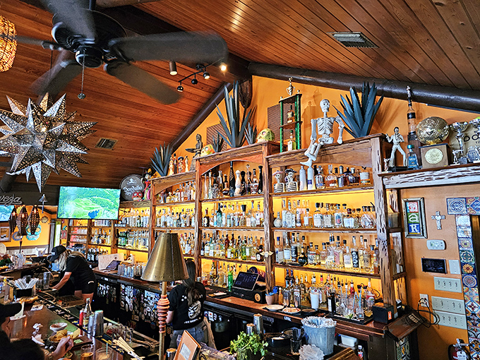 A tequila collection that would make even the most seasoned agave enthusiast weak in the knees. Liquid sunshine, meticulously displayed.