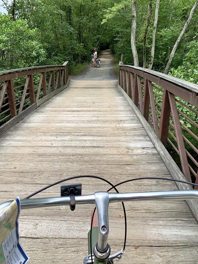 Wooden bridges connect trails like chapters in a good book, each one promising, "The best part is just ahead."