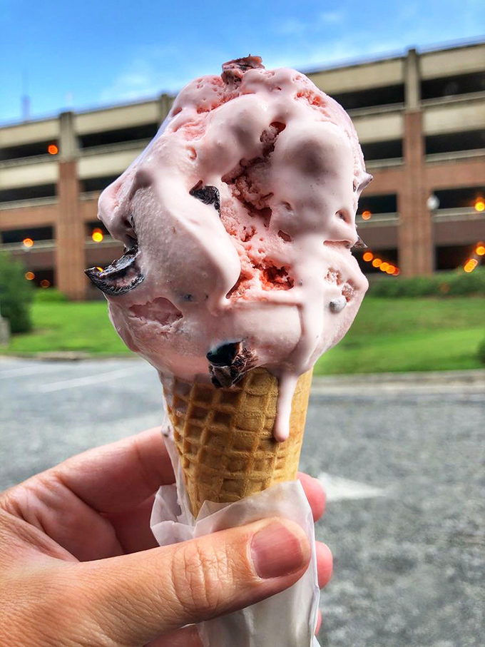 Black cherry ice cream with chocolate chunks – proof that happiness can indeed be purchased for pocket change.