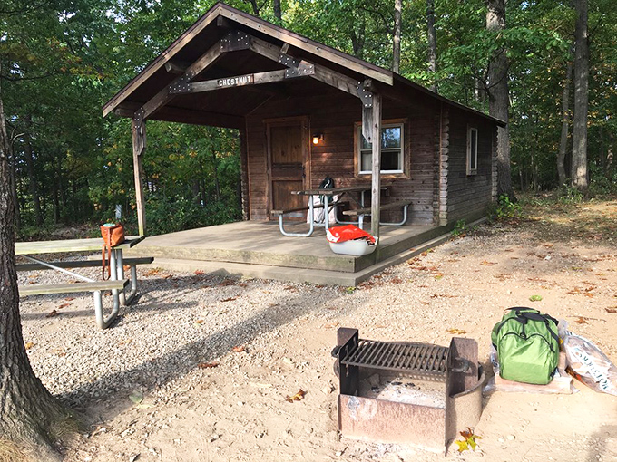 The quintessential Pennsylvania lake view: where blue water meets green forest under a sky that can't decide which cloud formation looks best. 