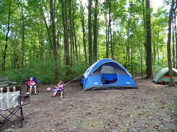 Camping among towering trees&mdash;nature's five-billion-star hotel. Those tent-side conversations will outlast any vacation resort memory.