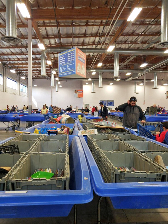 Books, DVDs, and unexpected treasures await in these carefully arranged bins&mdash;literary gold mines priced by the pound. 