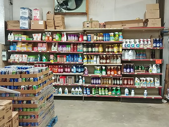 Cleaning products arranged with military precision. Spotless homes and spotless bank accounts can peacefully coexist here.