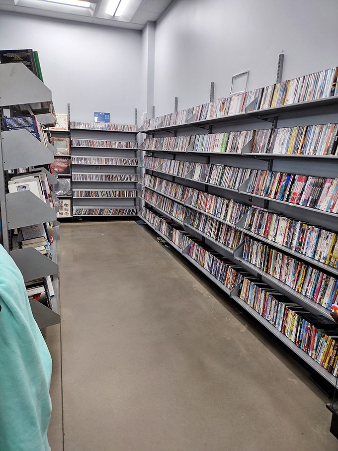 The DVD section is a time capsule of entertainment history. Find that movie you've been meaning to watch since 2005 for less than a streaming subscription.