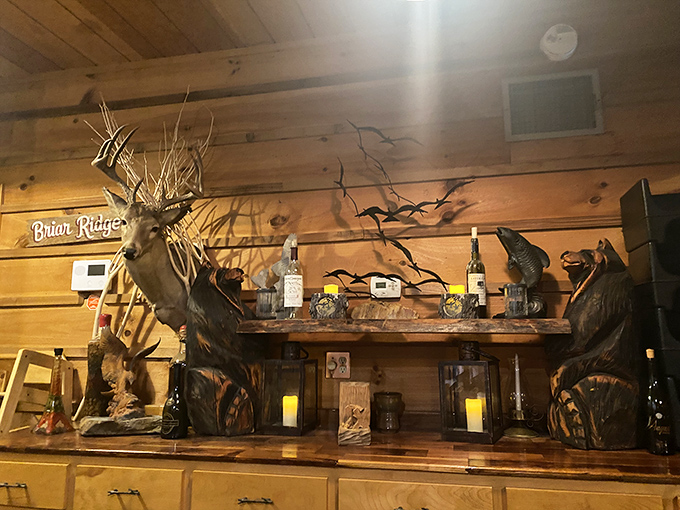 The wildlife décor isn't ironic or trendy – it's a sincere nod to the outdoor traditions that make East Tennessee such a special place.