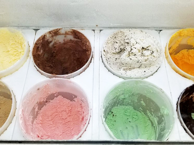 The color palette of possibility—each of these frozen treasures represents a different journey for your taste buds. Choose your adventure wisely.