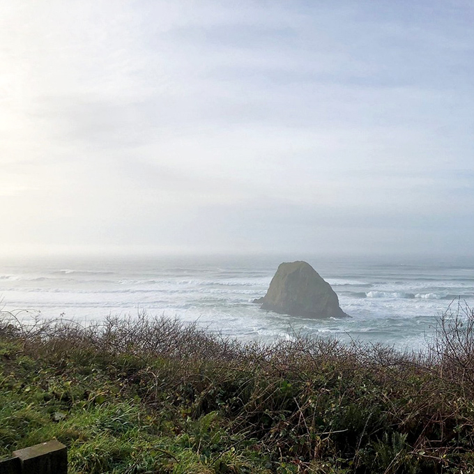 Moody morning fog transforms the coastline into a mysterious dreamscape worthy of a fantasy novel cover. 