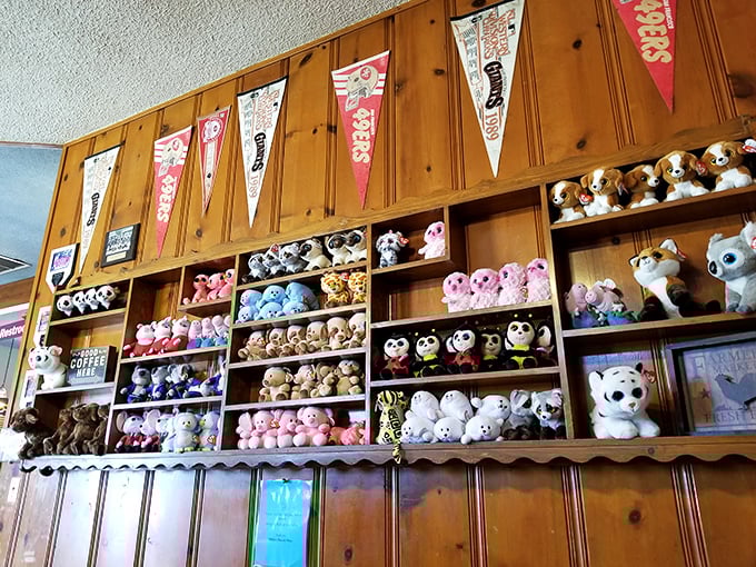 The stuffed animal collection that's watched over countless pancake feasts. Pennants and plushies create the ultimate comfort zone.
