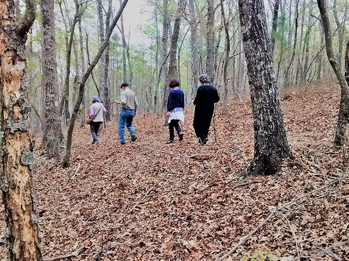 These forest trails remind us that nature wrote the original social network&mdash;no password or profile picture required.