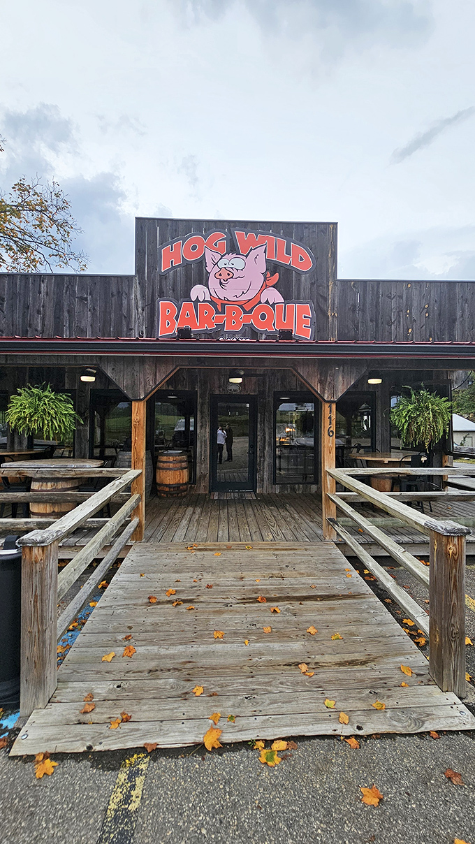 Hog Wild BBQ's rustic wooden entrance practically guarantees smoke-kissed perfection. Those fallen leaves add a touch of seasonal poetry.