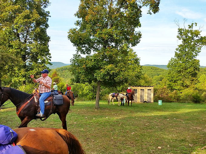Horseback riding through Ozark meadows &ndash; when was the last time your commute involved saddles instead of seatbelts?