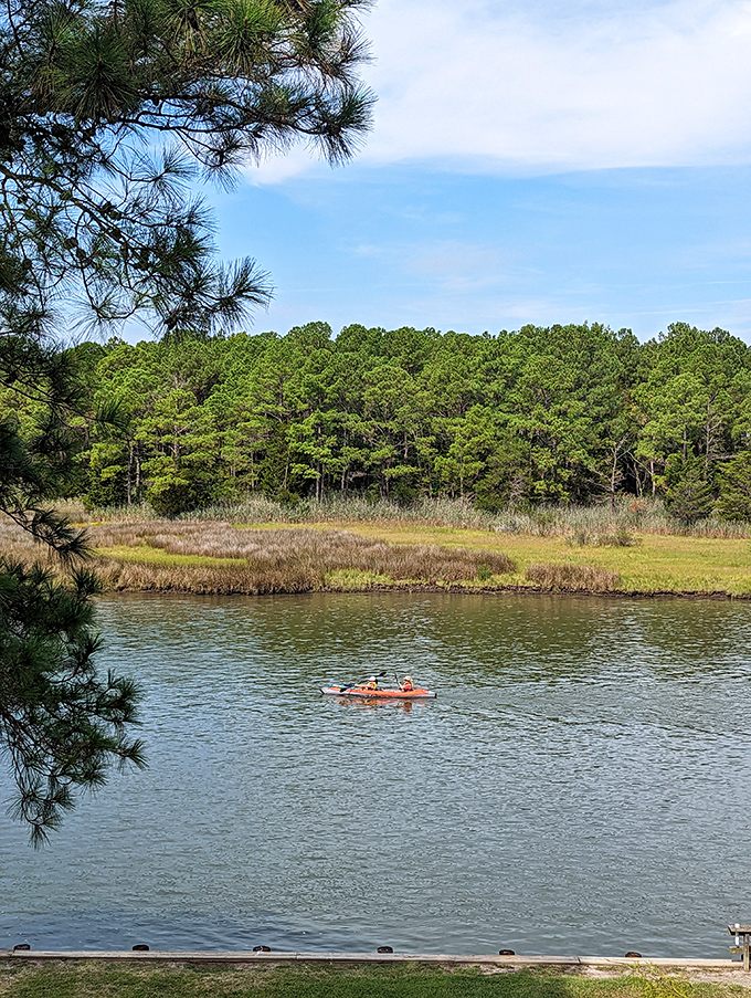 A lone kayaker explores the waterways, proving that social distancing was enjoyable long before it became mandatory.