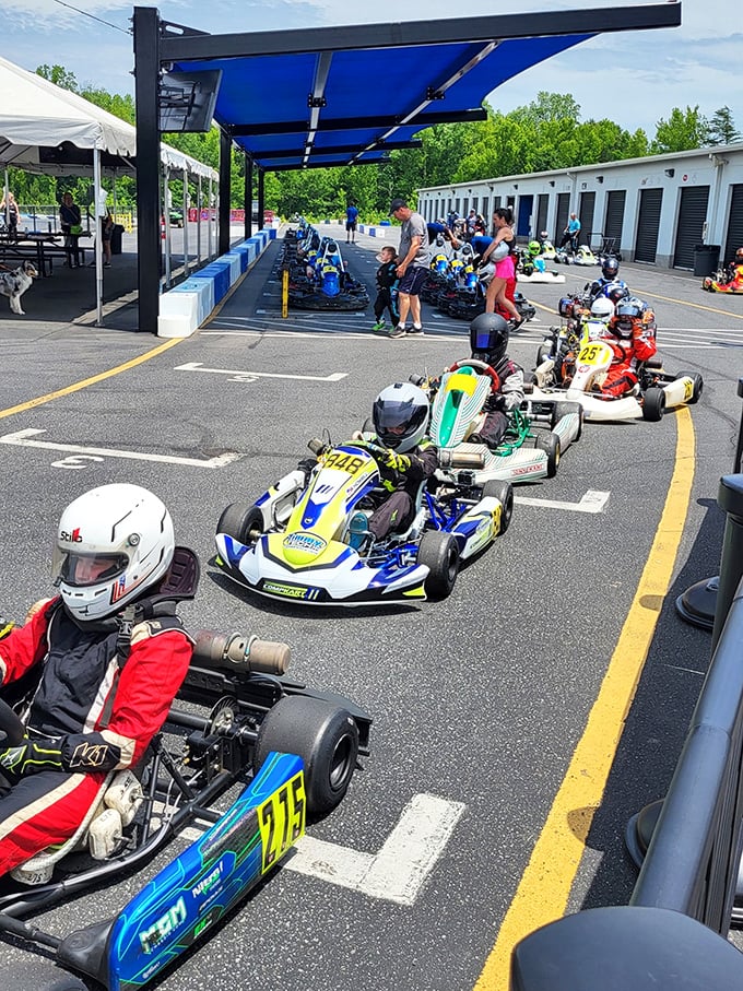 Professional-grade karts lined up like colorful mechanical thoroughbreds, each one waiting to deliver that perfect racing moment.