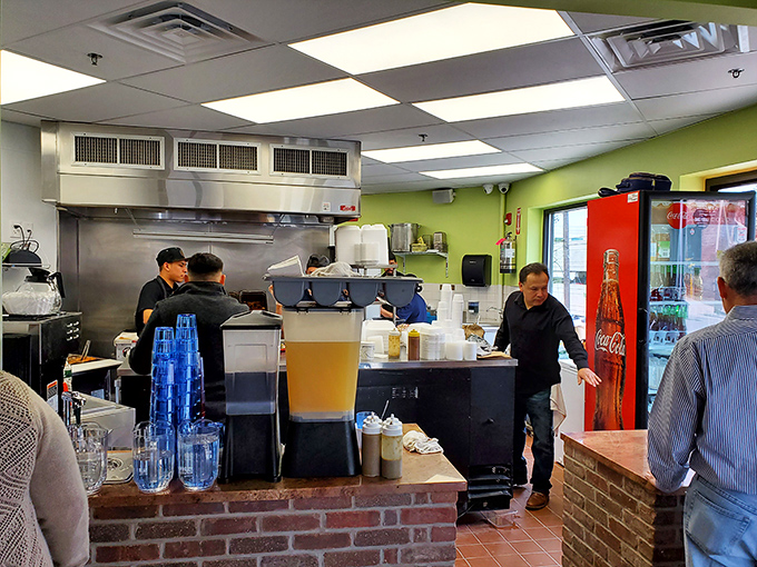 Enchiladas lounging in a vibrant sauce with perfect rice and beans—the culinary equivalent of a well-orchestrated symphony.