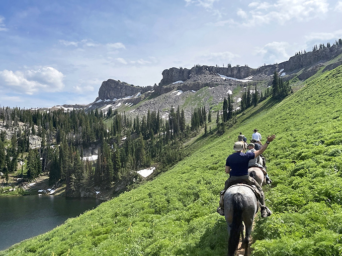 When the office looks like this, "going to work" takes on an entirely different meaning. These horses are commuting to views most screen savers can only dream about.