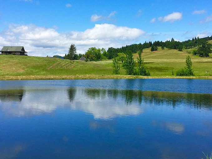 Maysara Winery's vineyard views make every sip taste better. Wine with a landscape chaser &ndash; nature's perfect pairing. 