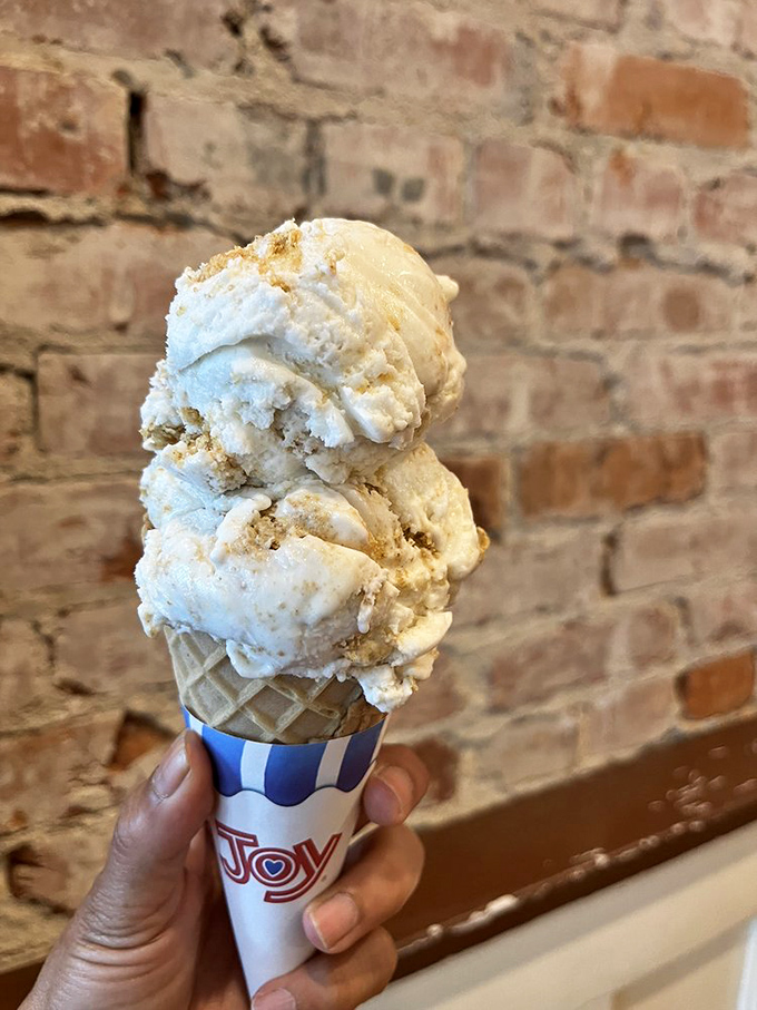 Two scoops of ice cream that prove vanilla isn't just vanilla when it's made by people who understand that simple doesn't mean boring.