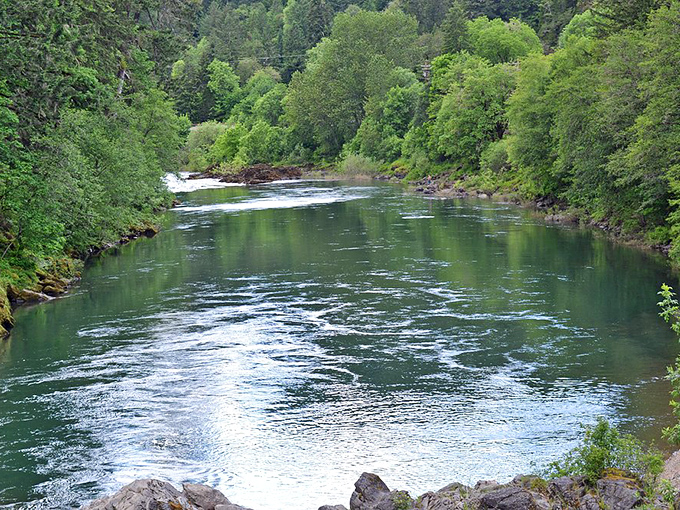 The emerald waters of the Umpqua River flow with such serenity, you'll wonder why you ever thought a spa day was relaxing.