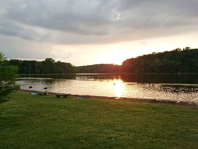 That magical moment when the sun dips low enough to turn an ordinary lake into liquid gold. Fireflies are about to clock in for their night shift.