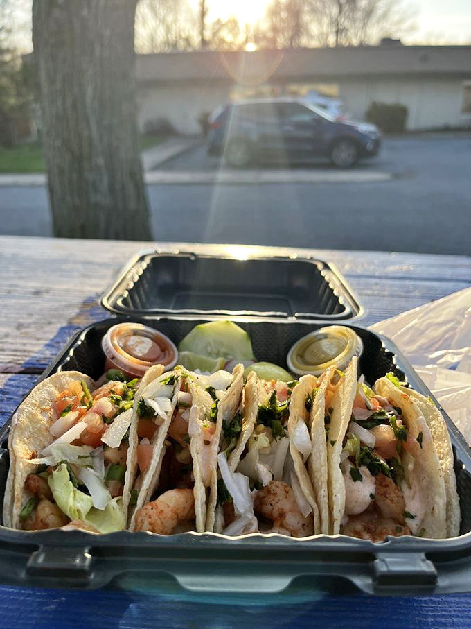 Shrimp tacos basking in the golden hour sunlight, proving that seafood in a parking lot can indeed be a transcendent experience.