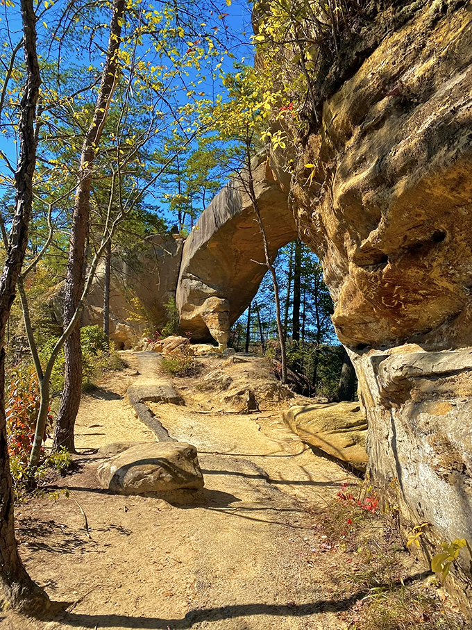 Approaching the arch from this angle reveals its impossible physics. Like a stone rainbow permanently frozen in mid-arch, defying gravity with geological confidence.