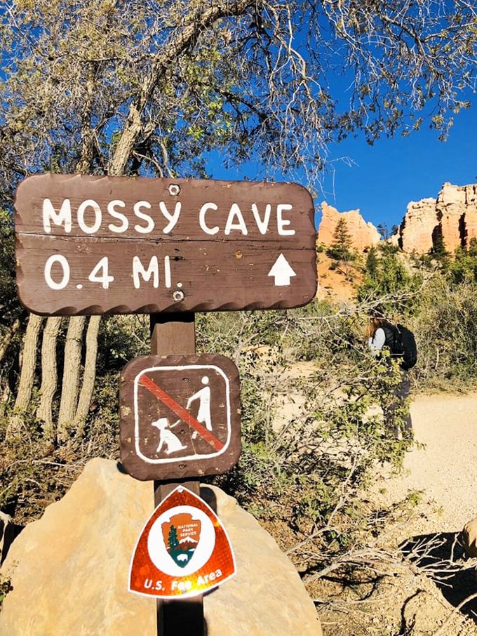 The sign doesn't lie&mdash;Mossy Cave is indeed just 0.4 miles away, proving that some of life's best experiences require minimal effort.