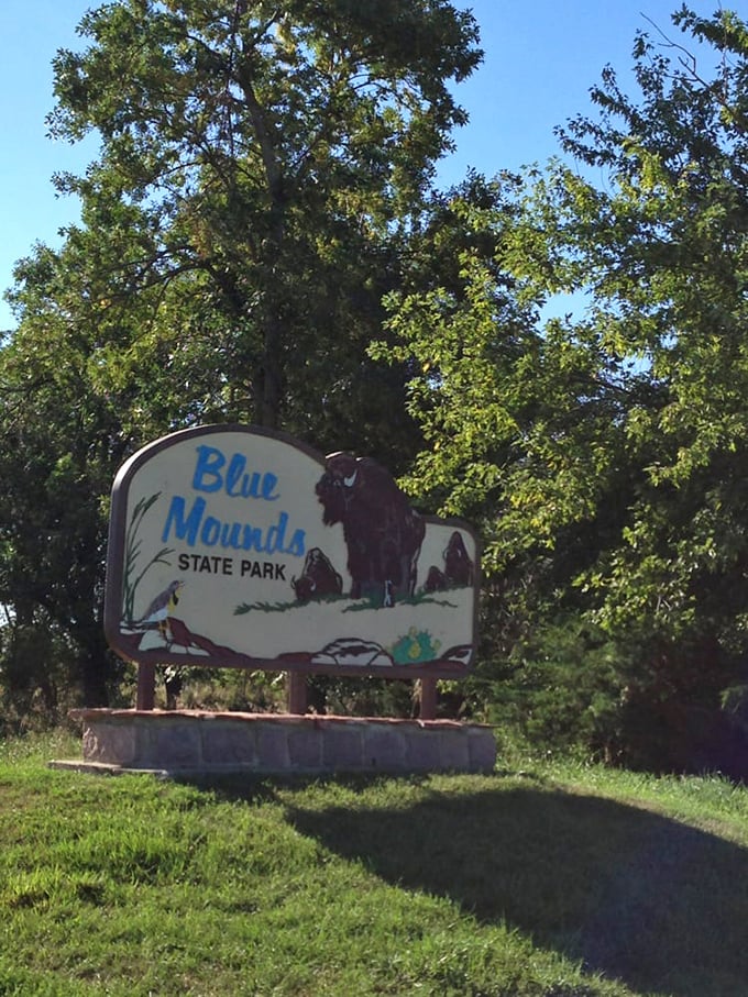 The park entrance sign featuring bison&mdash;nature's way of saying "You are now entering something special." No velvet rope required.