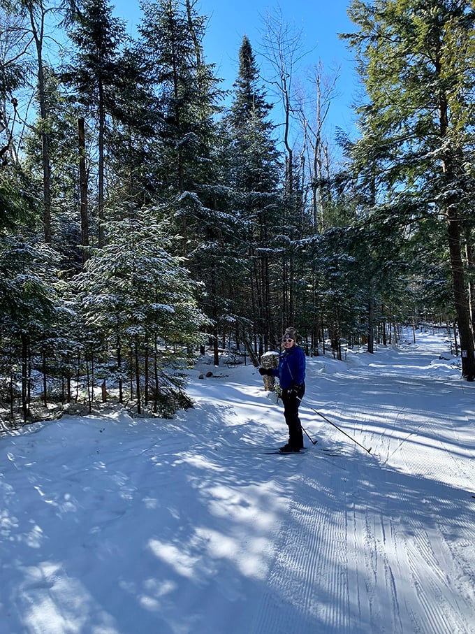Winter transforms the forest into a wonderland where the only acceptable notification ping is the sound of snow falling from branches.