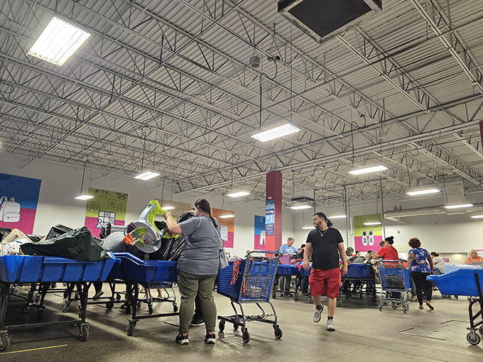 The vastness of the outlet floor resembles a retail Serengeti, where shoppers migrate between bins in search of sustainable sustenance for their collections.