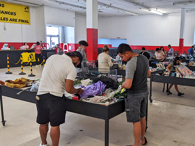 The treasure hunt in action. Shoppers carefully examine potential purchases, mentally calculating the difference between retail and Daily Dealz pricing.