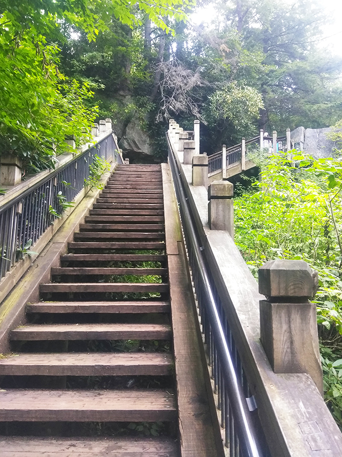 These stairs promise a view worth every step &ndash; the original StairMaster with scenery that beats staring at gym wall-mounted TVs. 