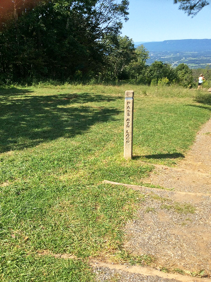 The Appalachian Trail marker stands sentinel in mountain meadows. Thousands of hikers have passed this humble post on epic journeys.