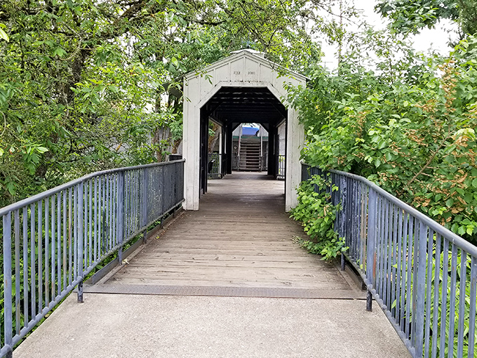 Silver Creek reflects autumn's golden hour, creating mirror images so perfect you'll wonder which side is the real world. 