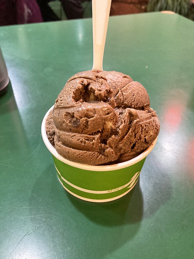 This chocolate scoop isn't playing around&mdash;it's a serious commitment to cocoa that demands equal dedication from your taste buds.