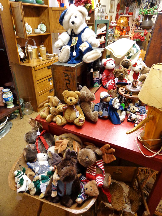 Teddy bear reunion! These plush time travelers have seen decades of bedtime stories and midnight confidences.