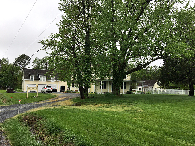 A house that looks like it should be on a postcard, not just in your vacation photos. Maryland's Eastern Shore showing off its architectural heritage.
