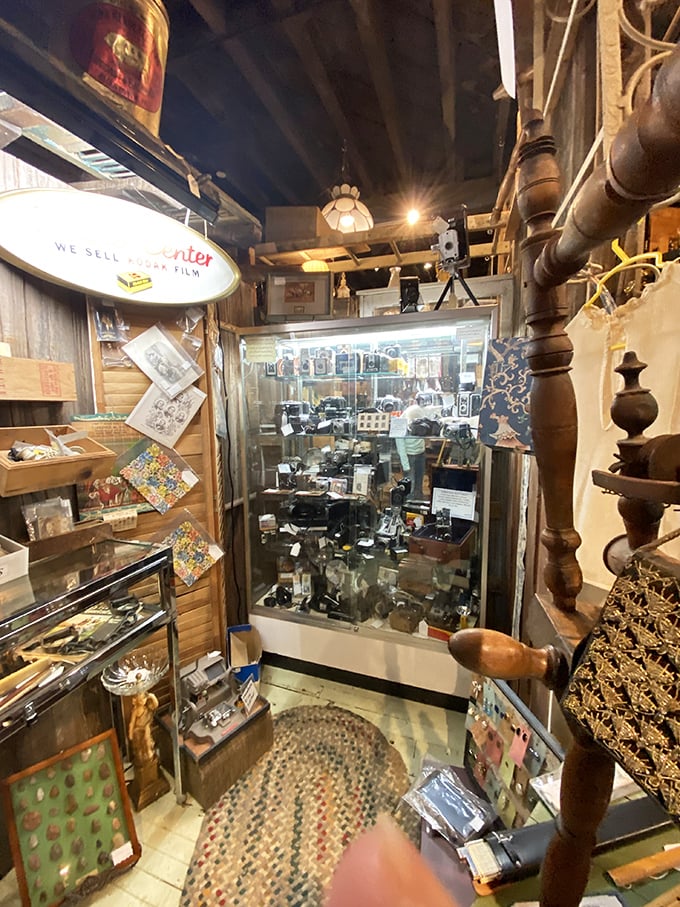 A photographer's dream: vintage cameras behind glass, each one having captured moments from an era when "selfie" wasn't in the dictionary.