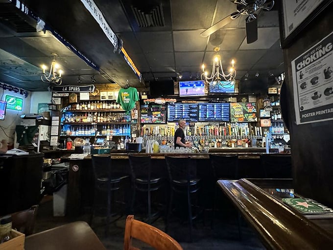 Fifty taps stand at attention like soldiers ready to serve. This bar doesn't just offer drinks—it offers possibilities.