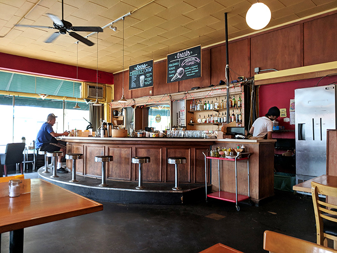 The curved bar invites solo diners to enjoy a meal without feeling like they're waiting for someone who's running late.