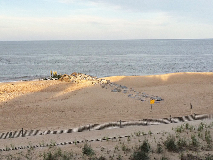 Sandy paths lead to ocean horizons where worries dissolve faster than footprints at high tide.
