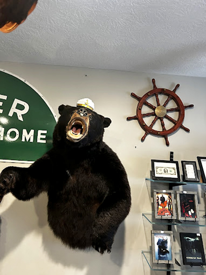 This nautical-capped bear seems ready to tell tales of wilderness adventures, standing guard near vintage collectibles and framed curiosities.